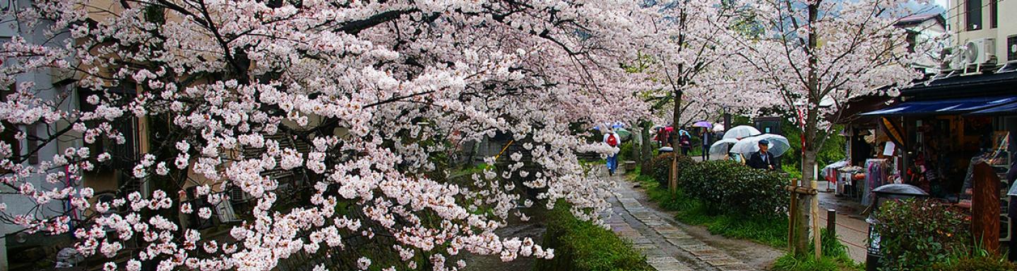 Senshu University Exchange | Global Education Oregon